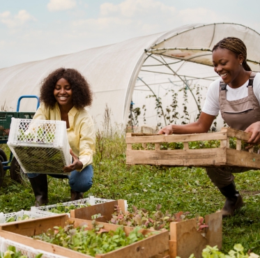 Fatgbems Agro-Allied